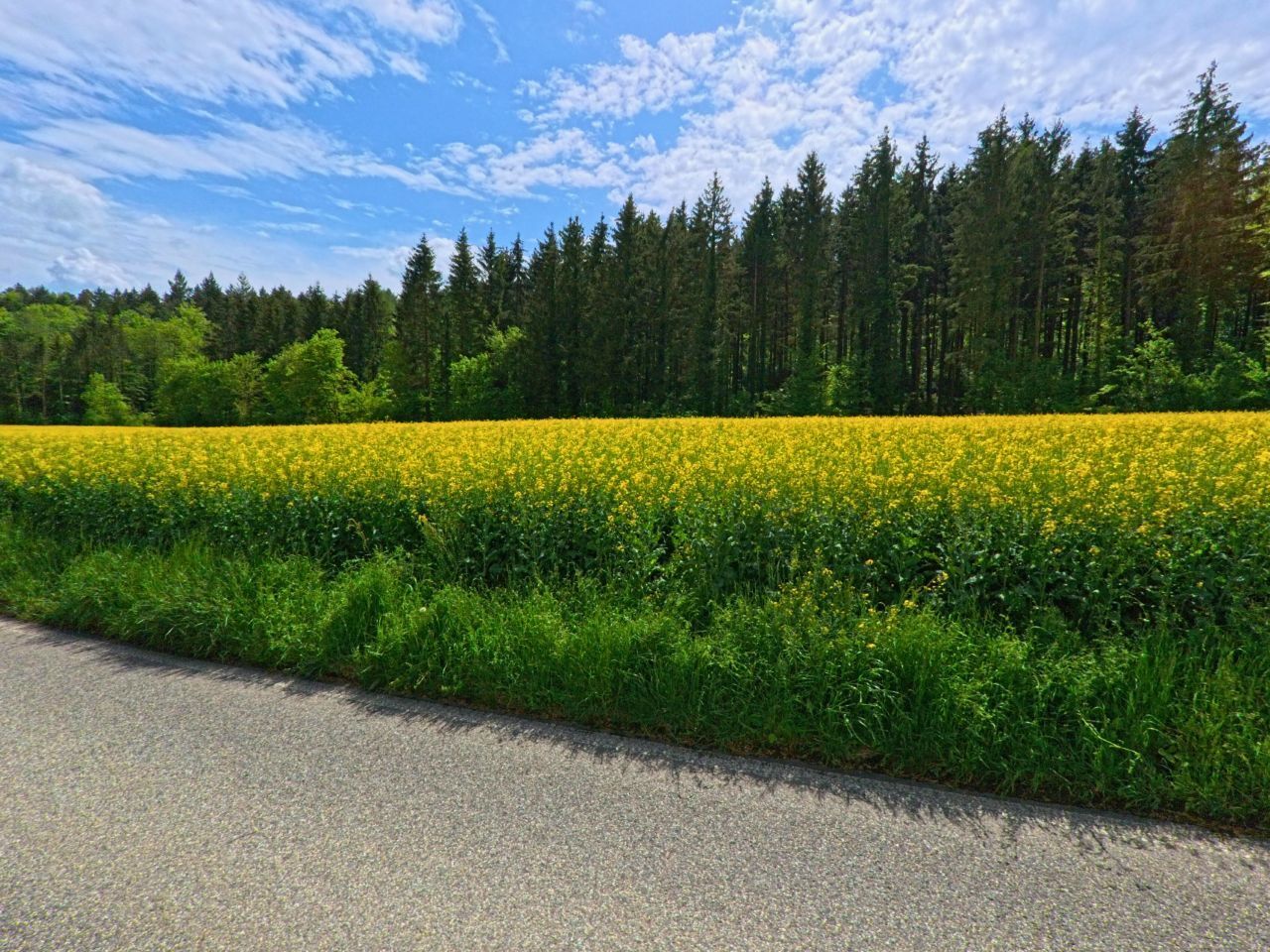 Gemeinde Erlinsbach (SO) – Nützliche Informationen für Sie