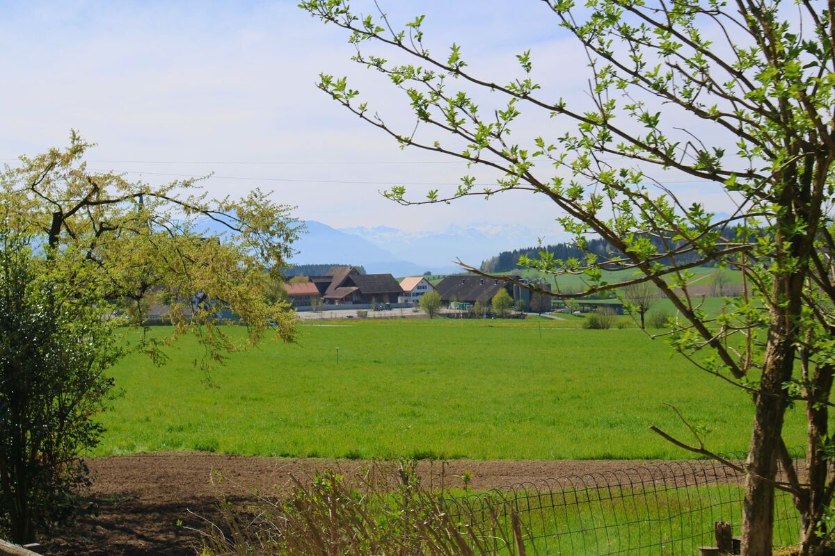 Gemeinde Kappel am Albis (ZH) – Nützliche Informationen für Sie