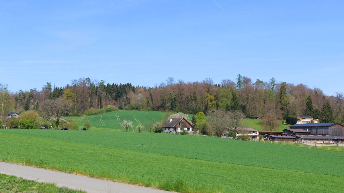 Gemeinde Knonau (ZH) – Nützliche Informationen für Sie