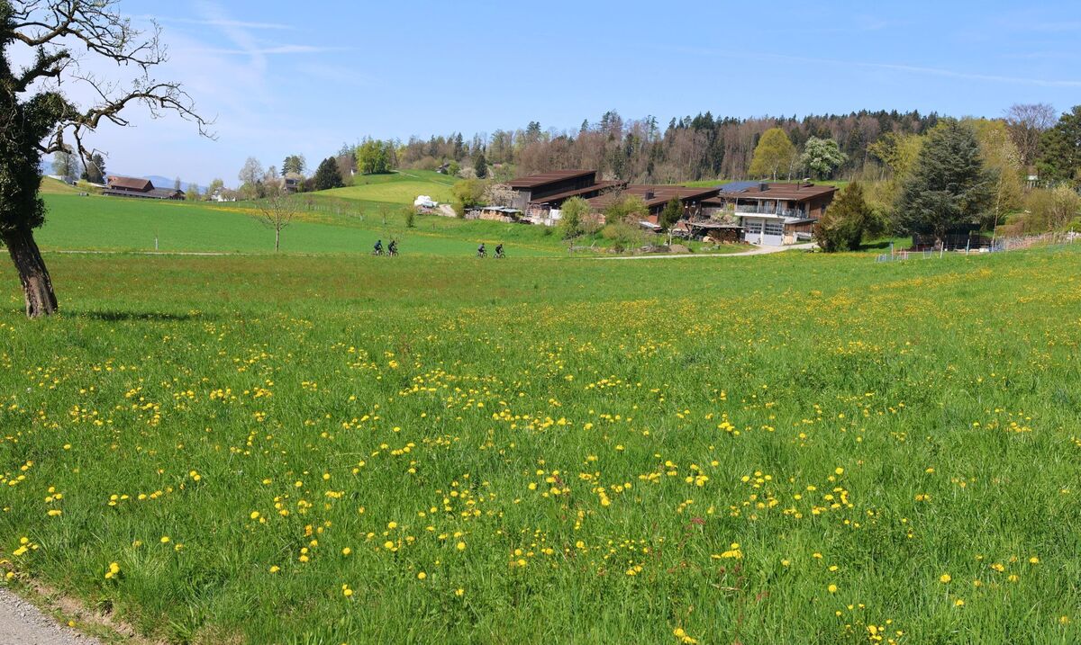 Gemeinde Rifferswil (ZH) – Nützliche Informationen für Sie