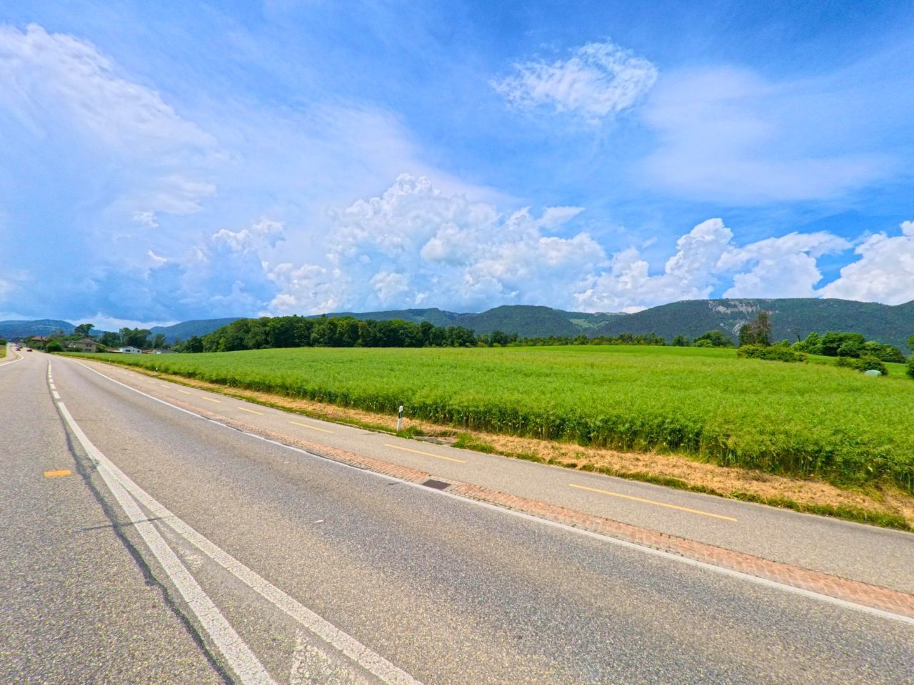 Gemeinde Selzach (SO) – Nützliche Informationen für Sie