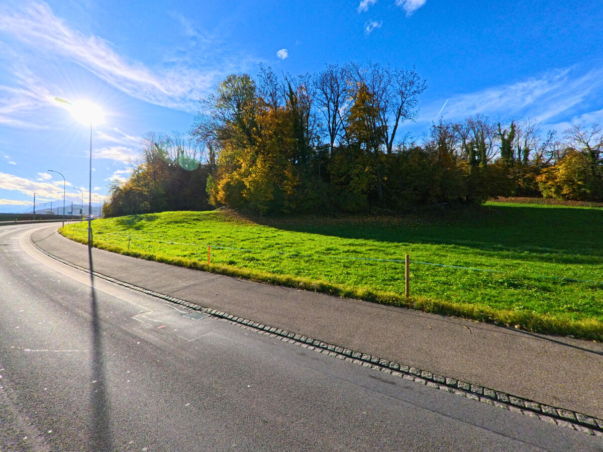 Gemeinde St. Margrethen (SG) – Nützliche Informationen für Sie