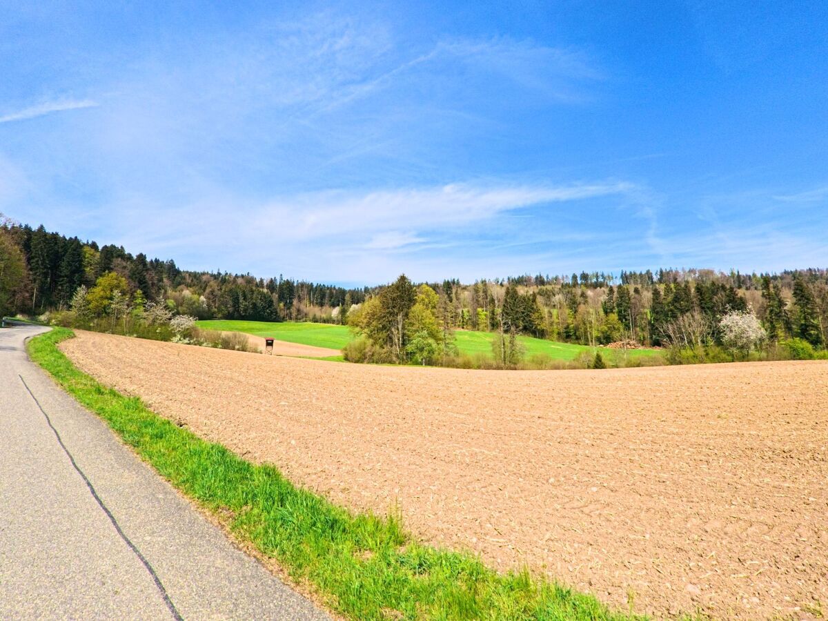 Gemeinde Weisslingen (ZH) – Nützliche Informationen für Sie