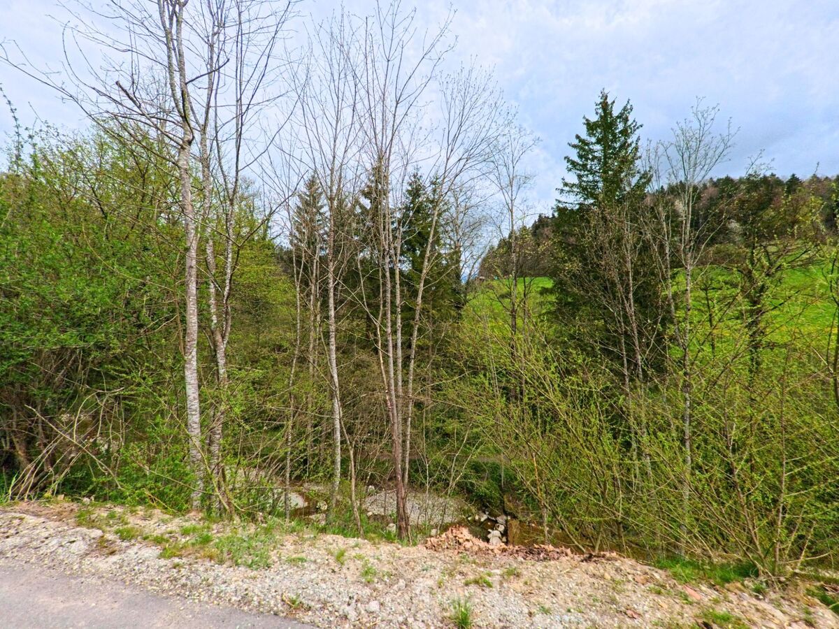 Gemeinde Wila (ZH) – Nützliche Informationen für Sie