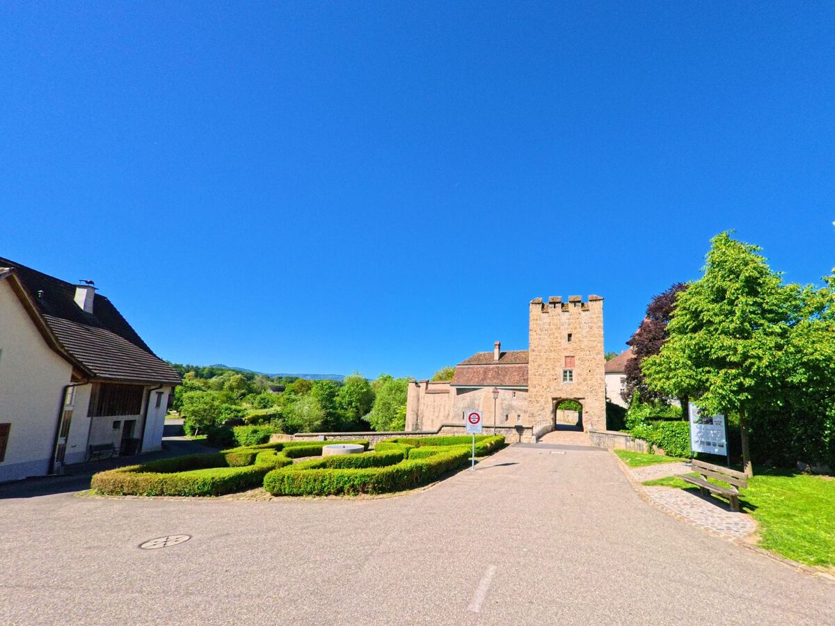 Gemeinde Zwingen (BL) – Nützliche Informationen für Sie