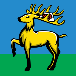 Gemeinde Erstfeld (UR) – Nützliche Informationen für Sie