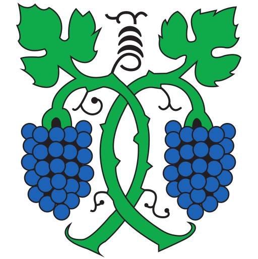 Gemeinde Jenins (GR) – Nützliche Informationen für Sie