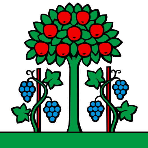 Gemeinde Magden (AG) – Nützliche Informationen für Sie