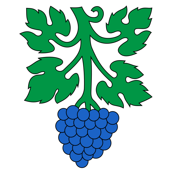 Gemeinde St. Margrethen (SG) – Nützliche Informationen für Sie